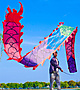 Fabric Poi Pro Dragon Poi to buy In stock Order now
